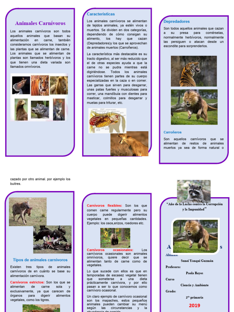 Características de los Animales Carnívoros | PDF | Carne | Depredación
