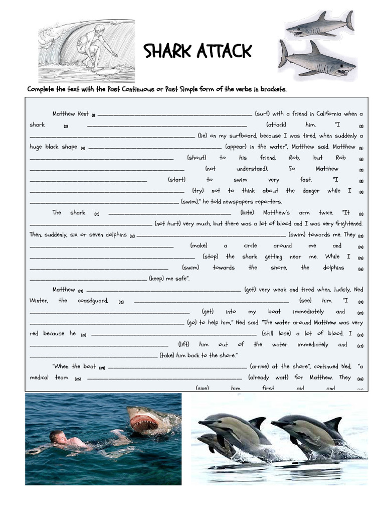 Shark Attack Grammar | PDF