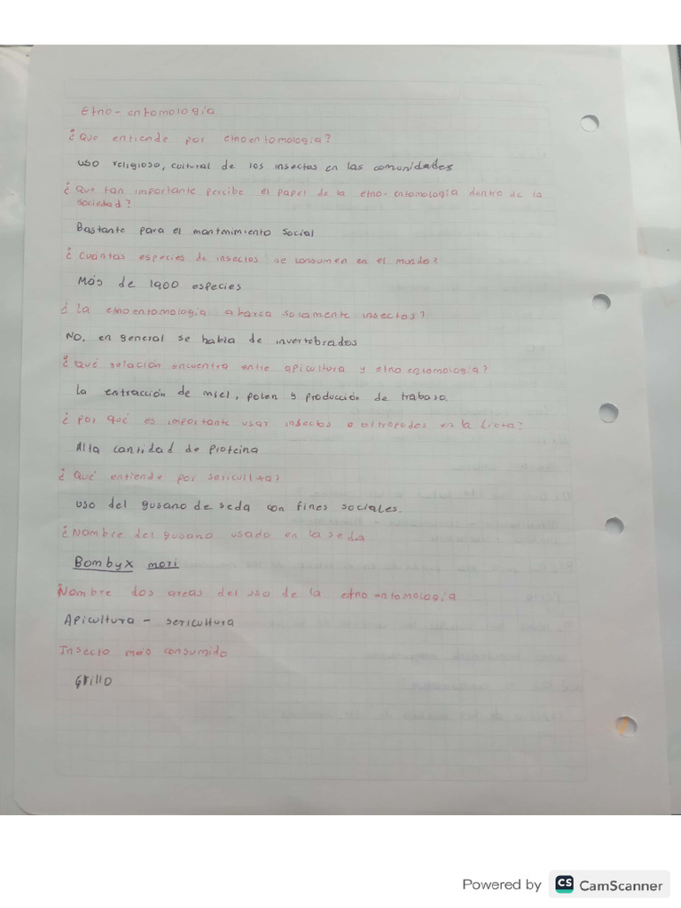 Taller Pdf