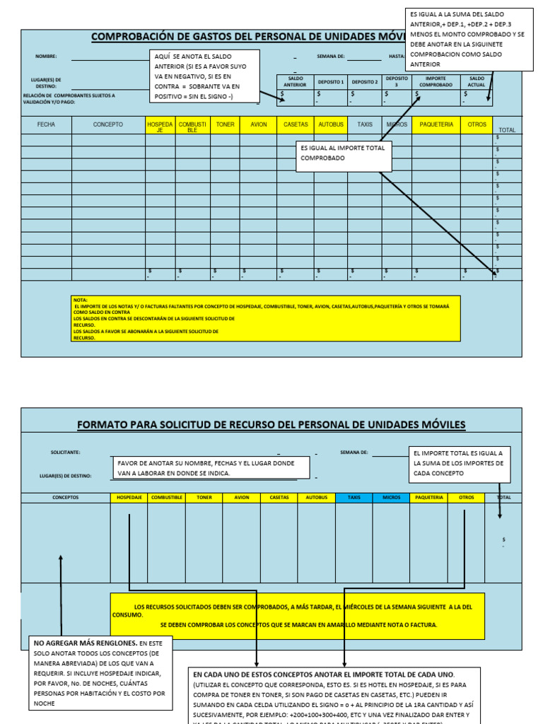 Indicaciones Del Llenado de Los Formatos | PDF
