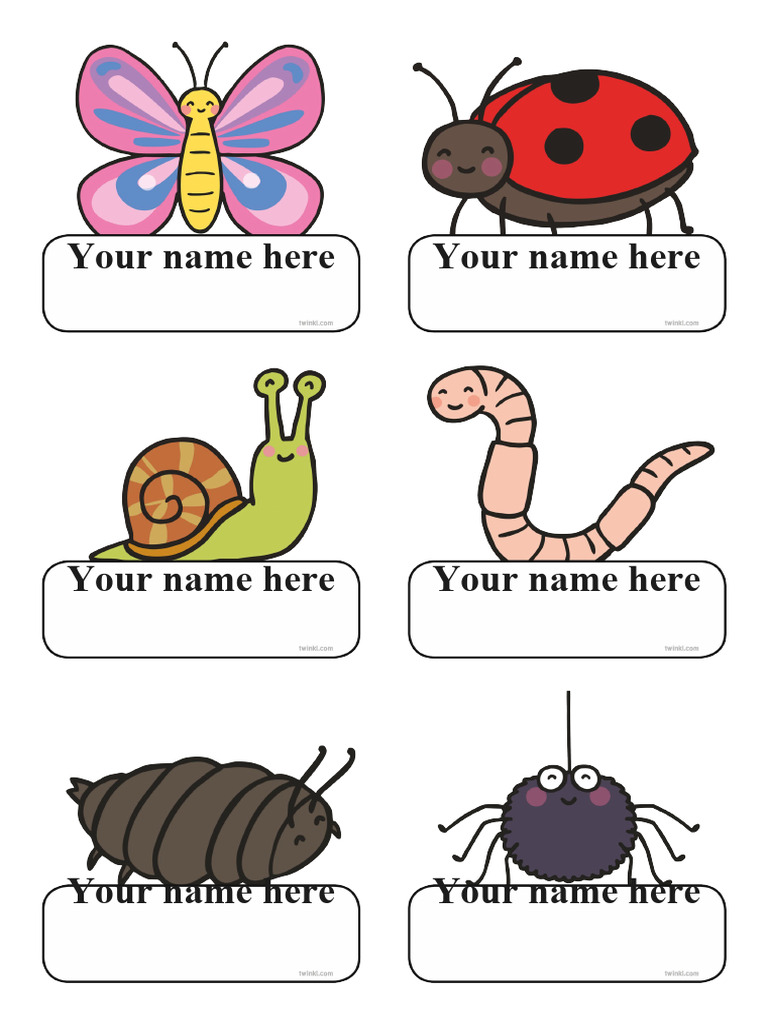 T C 012 Editable Self Registration Minibeasts Ver 1 | PDF