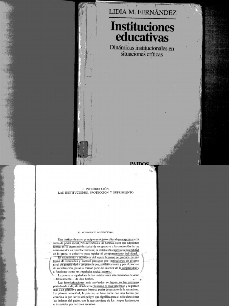 Lidia Fernández. INSTITUCIONES EDUCATIVAS | PDF