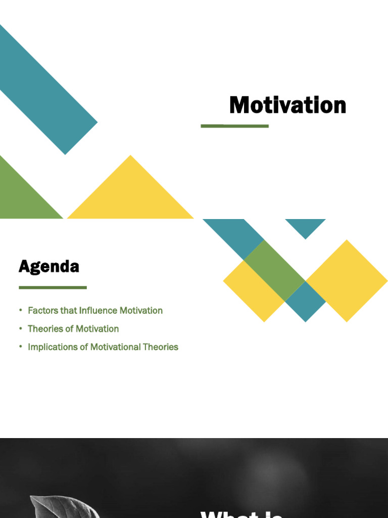 Motivation | PDF | Motivational | Motivation