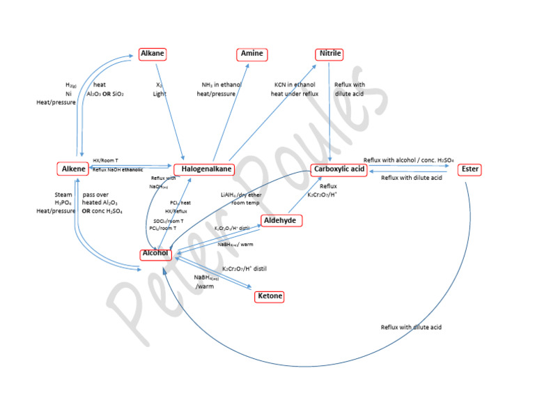 Organic Reaction Pathways Overview | PDF | Science & Mathematics