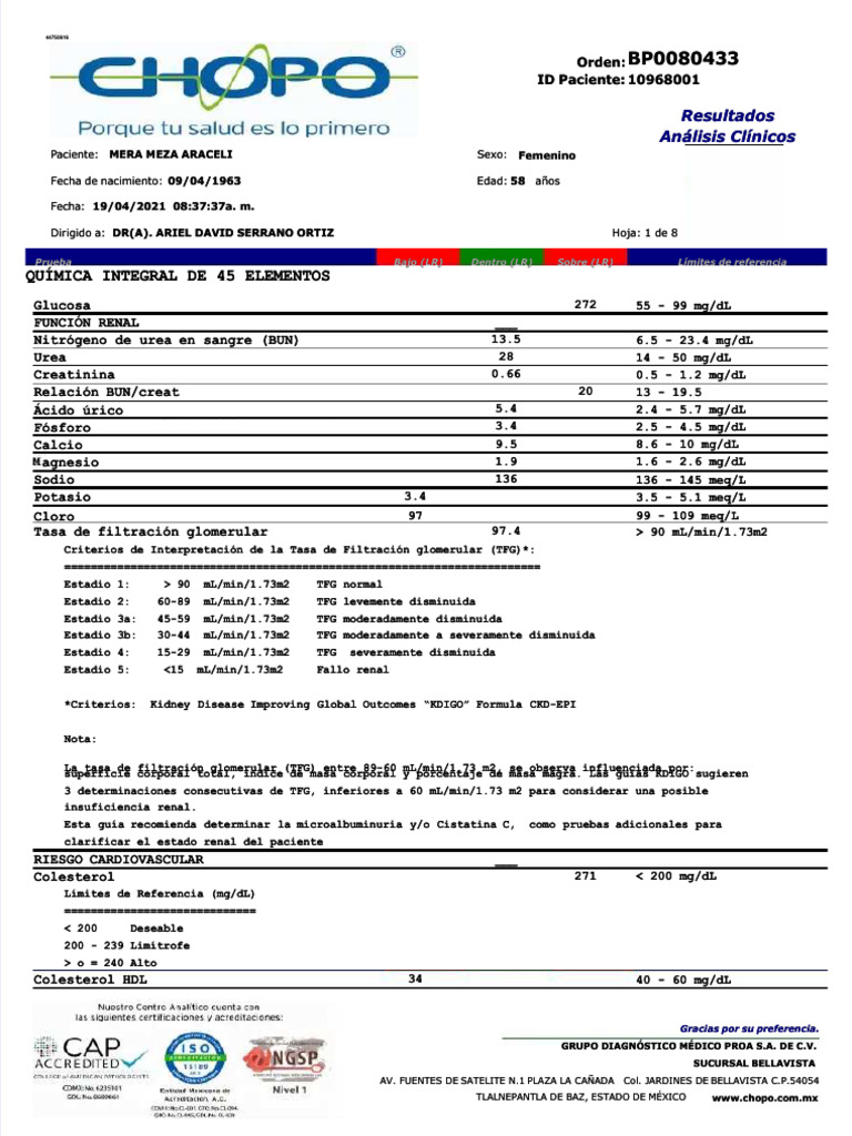 PDF Analisis Chopo - Compress | PDF