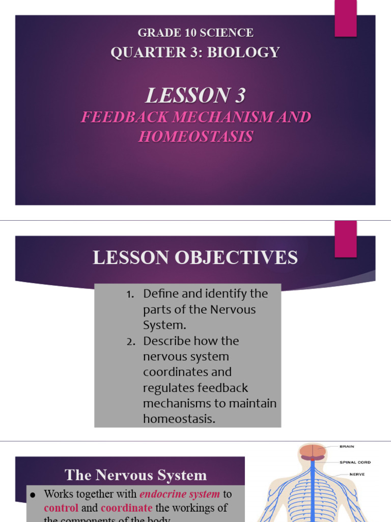Esson 3 Feedback Mechanism and Homeostasis Student | Download Free PDF ...