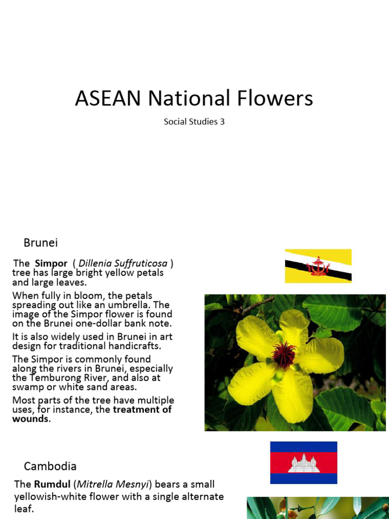 ASEAN National Flowers Guide | PDF | Plants | Botany