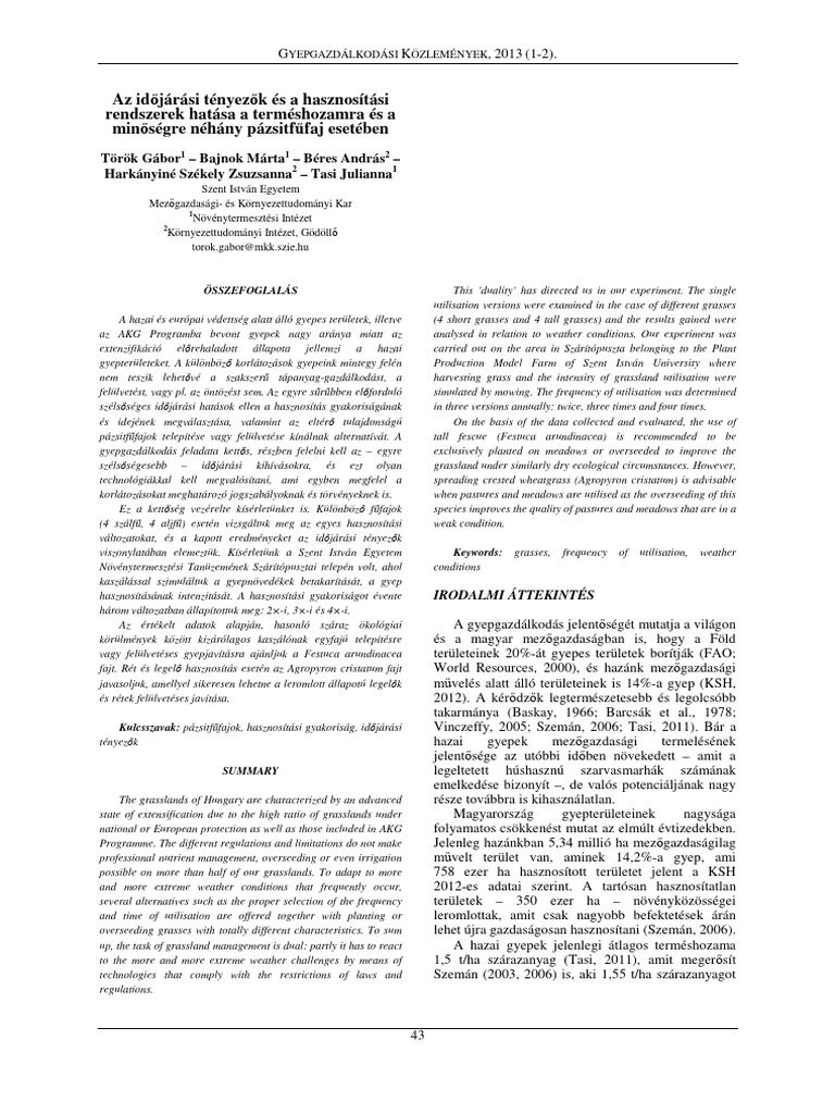 06 Torok Bajnok | PDF