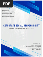 Dsdsdsdsds | PDF | Corporate Social Responsibility | Board Of Directors