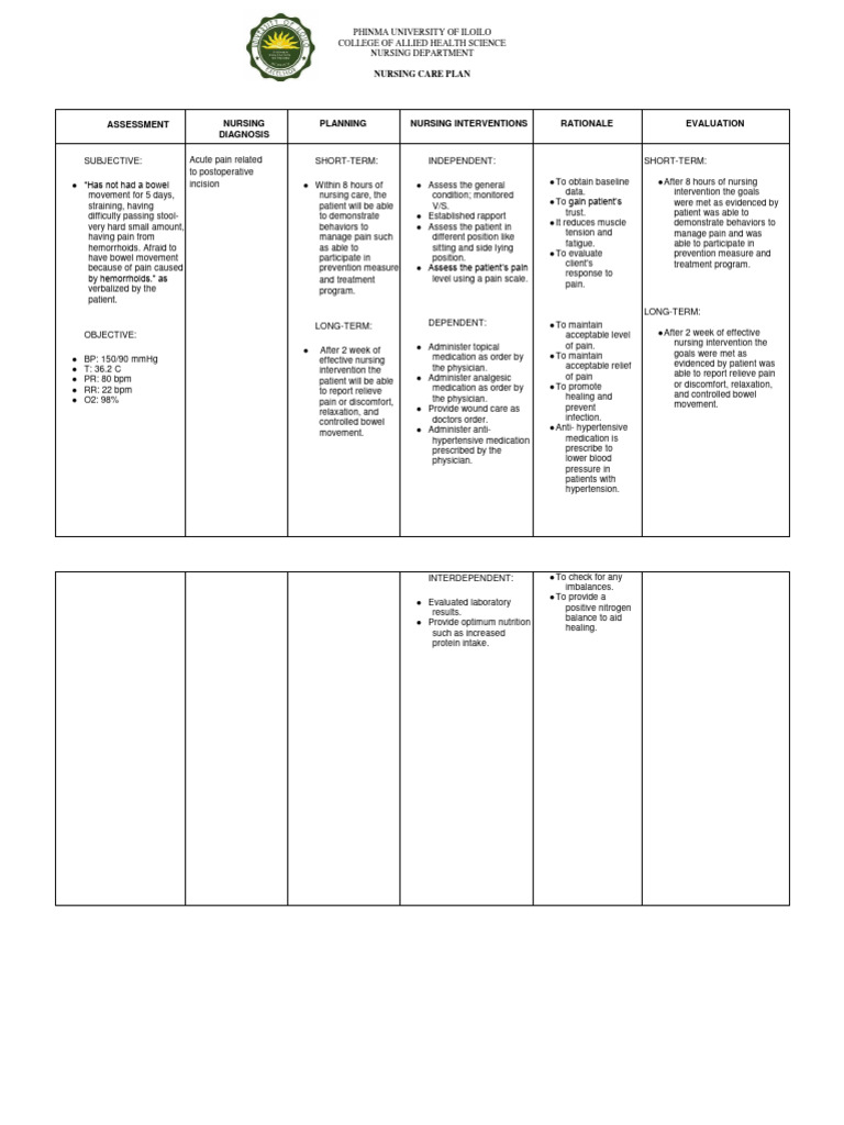 NCP Template | Download Free PDF | Pain | Nursing