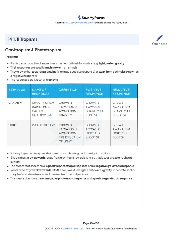 Understanding Plant Tropisms and Auxins | PDF | Auxin | Root