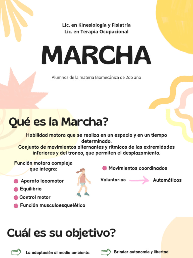 Marcha Kinesiologia | PDF | Sistema musculoesquelético | Neurociencia
