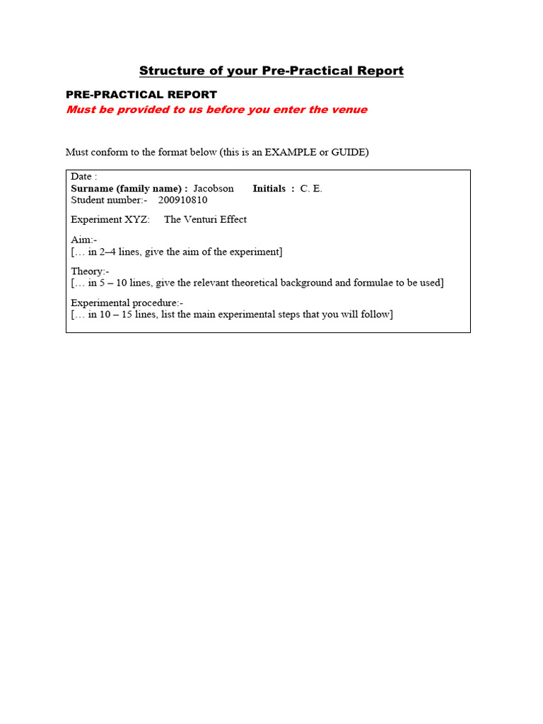Pre-Practical Report Structure | PDF