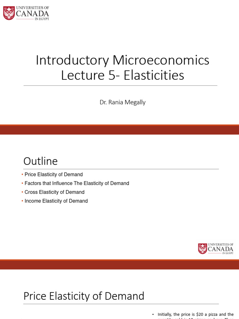 Lecture 5 | PDF | Elasticity (Economics) | Demand
