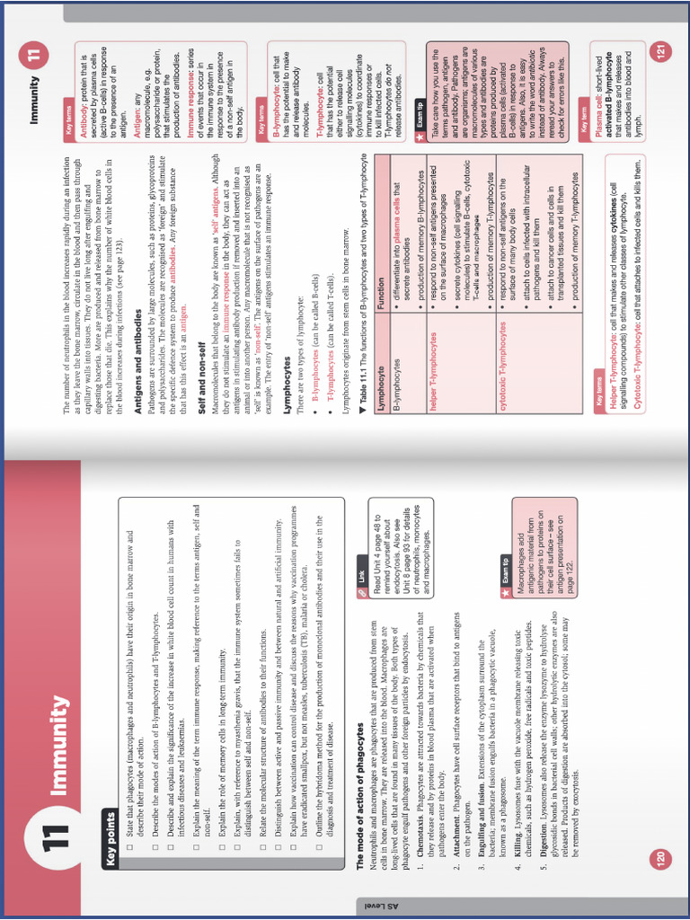 Immunity | PDF