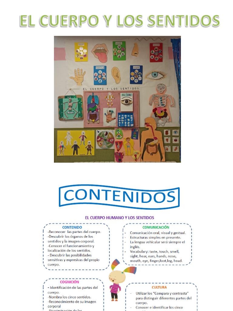 Cuerpo y Sentidos | PDF