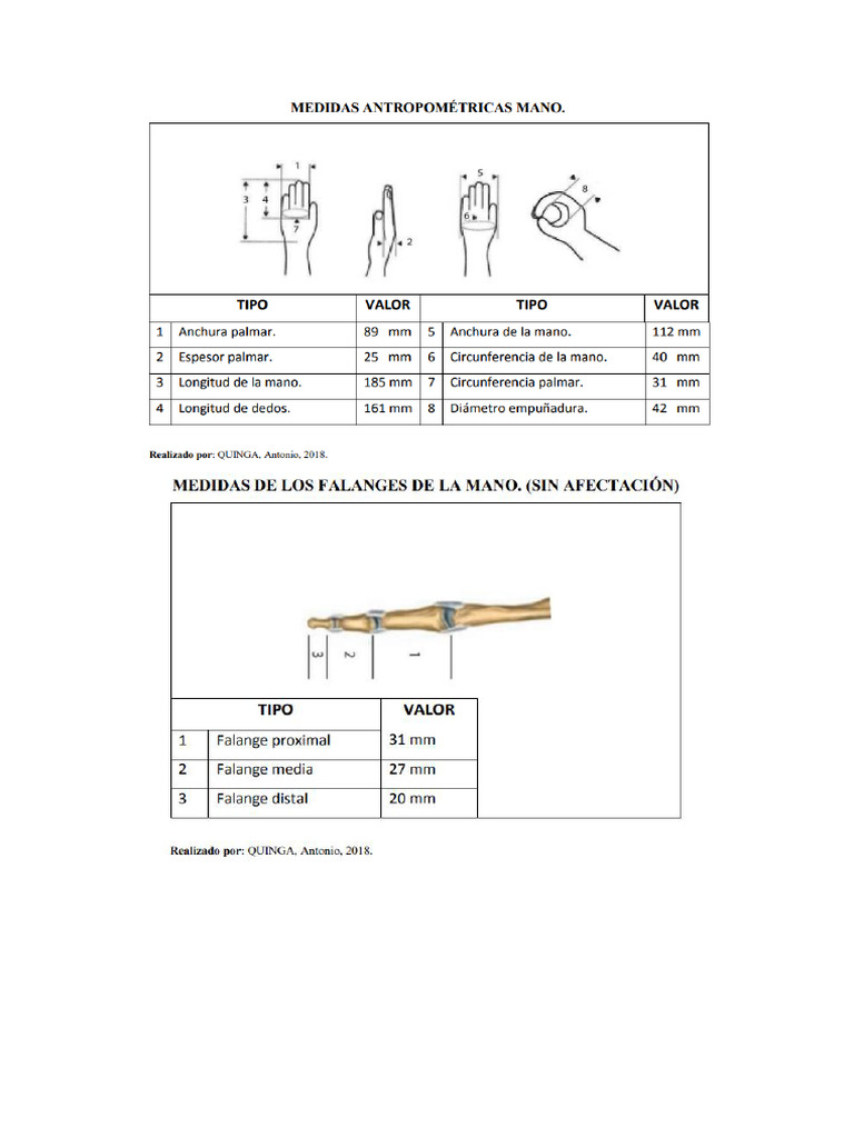 Análisis Anatómico de La Mano | PDF