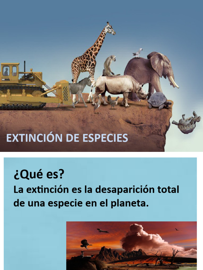 Extinción de Especies: Causas y Soluciones | PDF | Hogar, jardinería y ...