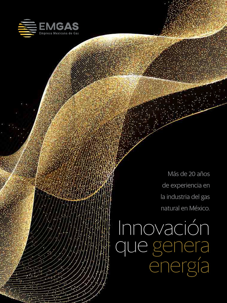 Emgas 2022 | PDF | Gas natural | Petróleo