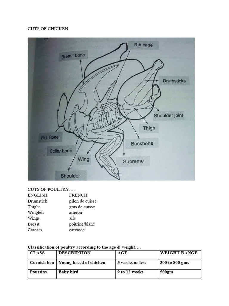 Chicken and Poultry Cuts Guide | PDF