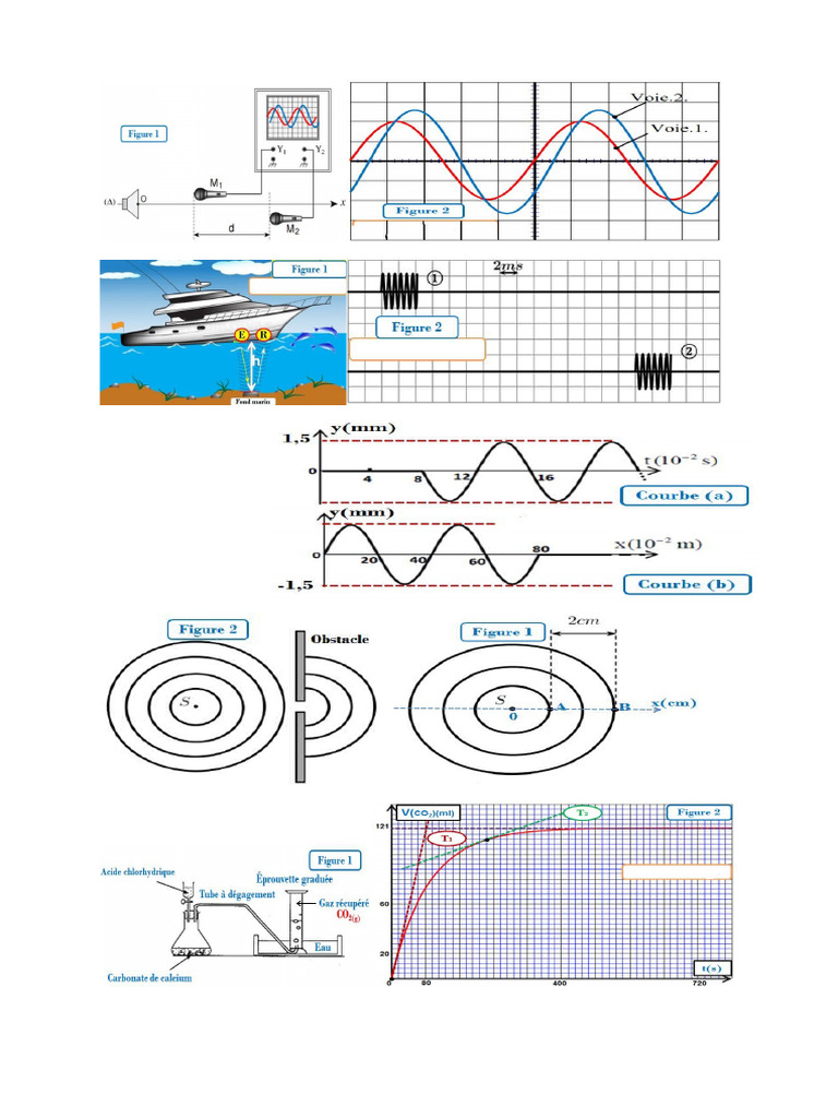 Devoir Surveillé #1 Semestre 1, 2BAC BIOF 2024-2023 | PDF