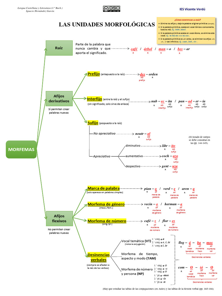 Morfología Bach. | PDF | Conjugación gramatical | Verbo