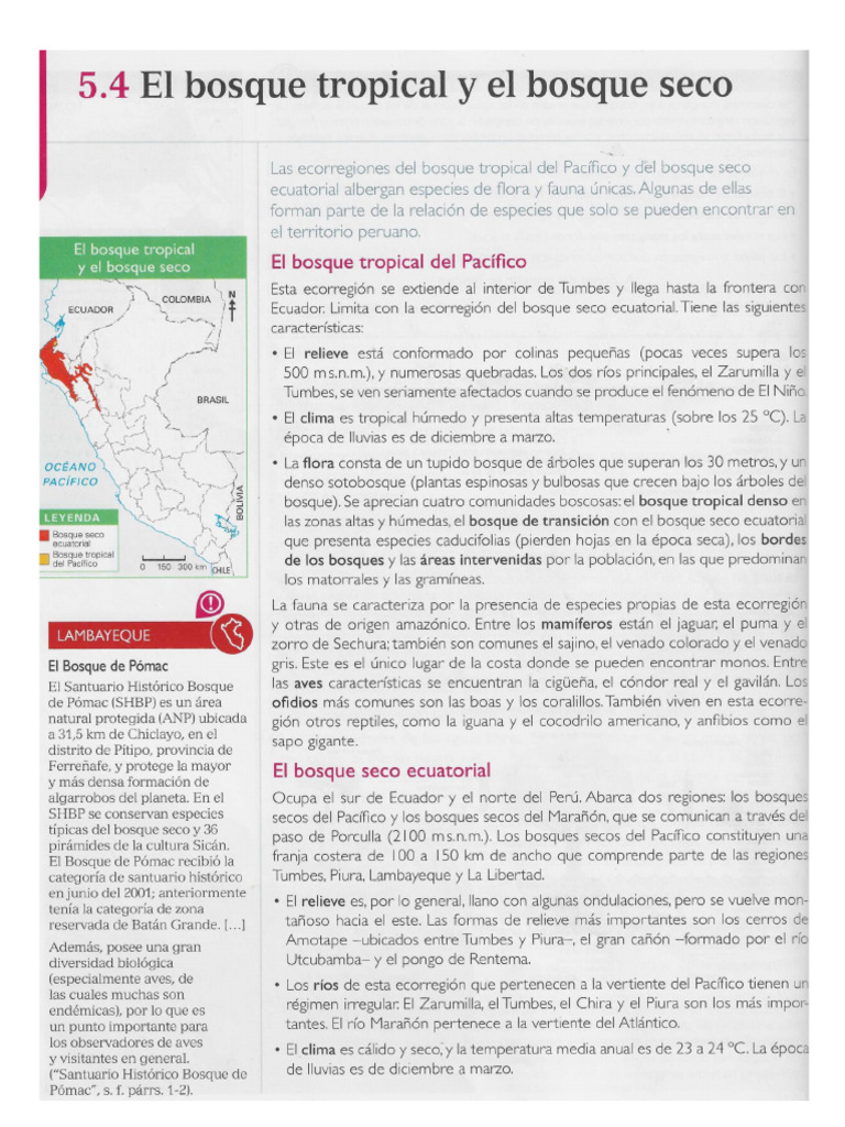 El Bosque Tropical y El Bosque Seco | PDF