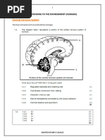 Life Sciences Grade 12 Revision Booklet Term 3 - 2023 | PDF | Meiosis ...