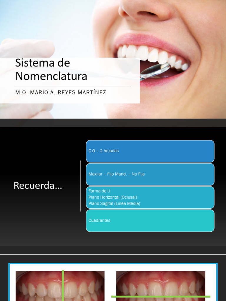 Sistema de Nomenclatura | PDF | Odontología | Ramas de Odontología