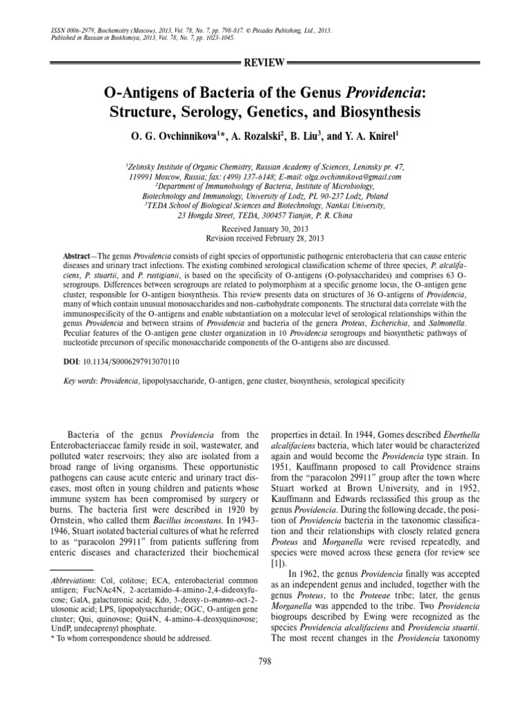 Providencia Bacteria: O-Antigen Insights | PDF | Lipopolysaccharide ...