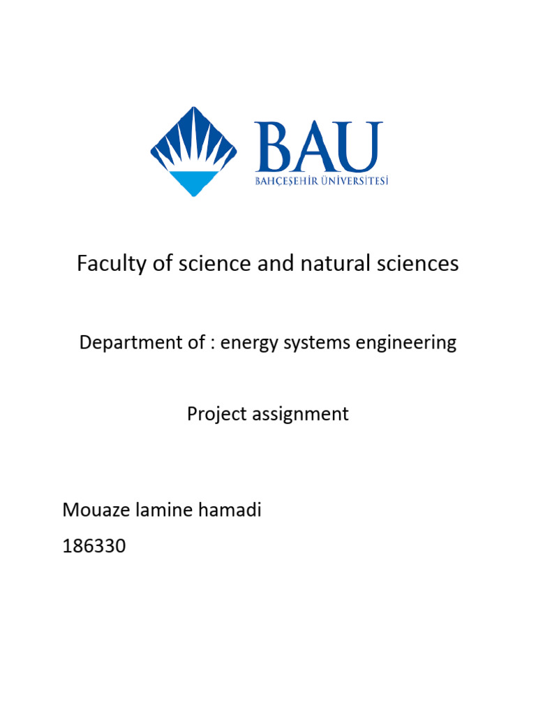 Project Assignment | PDF | Mathematical Optimization | Numerical Analysis