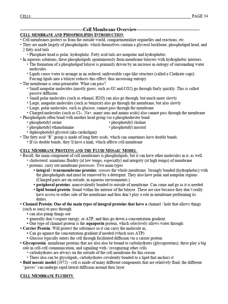Cell Membrane Structure and Function | PDF | Endoplasmic Reticulum ...