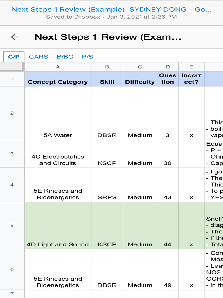 Next Steps 1 Review (Example) SYDNEY DONG - Google Drive | PDF
