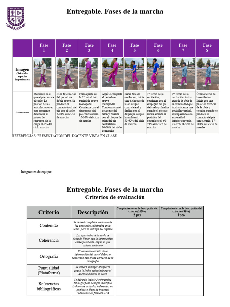 Entregable. Reporte Biomecánica Marcha - 1 | PDF