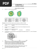 PUP Research Template | PDF | Electrochemistry | Photosynthesis