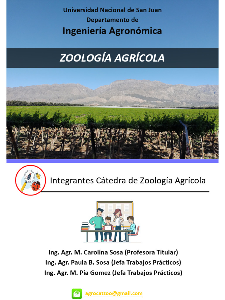 Morfología del Tagma Cefálico en Insectos | PDF | Artrópodos ...