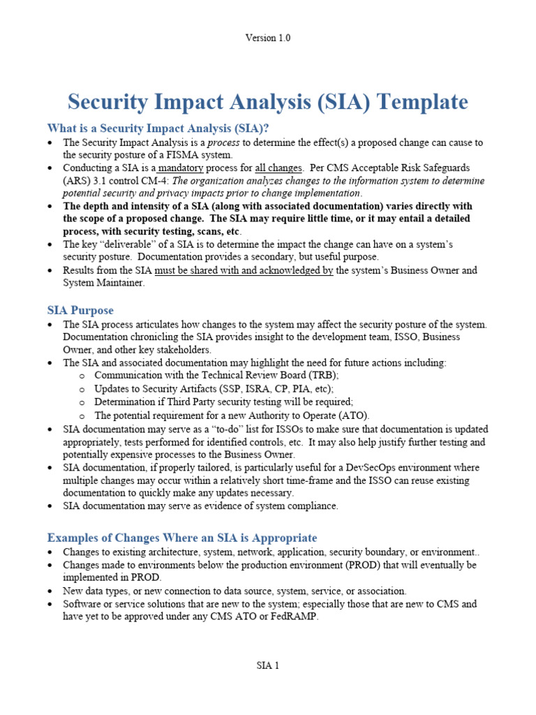 SIA v1 - Final-A | PDF | Vulnerability (Computing) | Computer Security