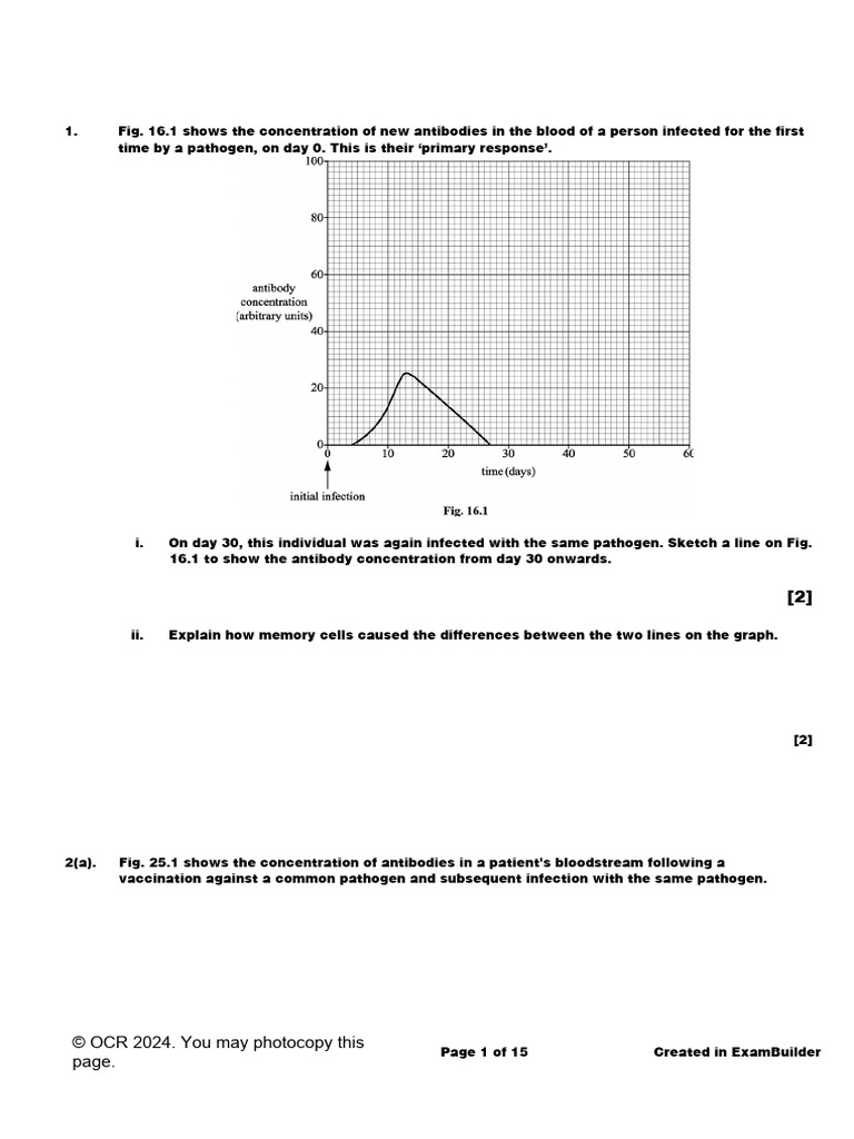End of Unit PPQ | PDF | Immune System | Lymphocyte