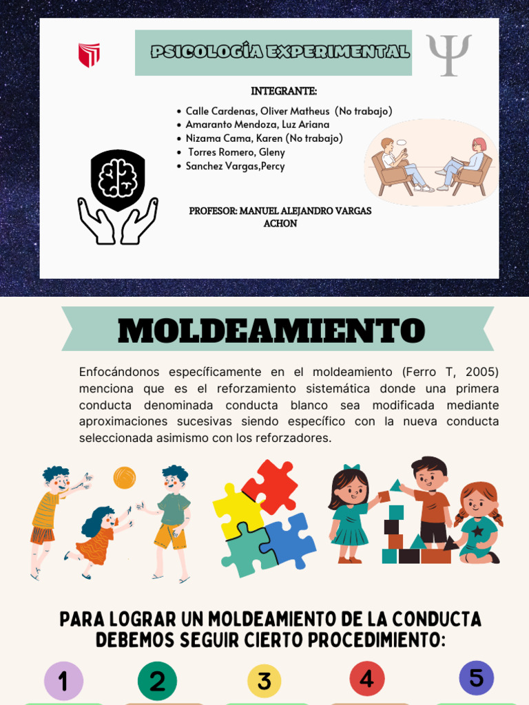 Moldeamiento y programa de encadenamiento-1 | PDF | Comportamiento ...