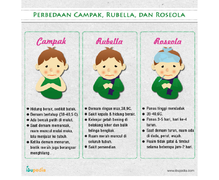 Perbedaan Campak, Rubella, dan Roseola- Infografis - Ibupedia | PDF Perbedaan Campak, Rubella, dan Roseola- Infografis - Ibupedia | PDF