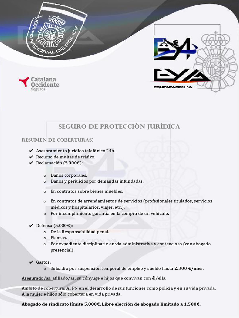 Resumen Seguro Eya Vida Privada | PDF