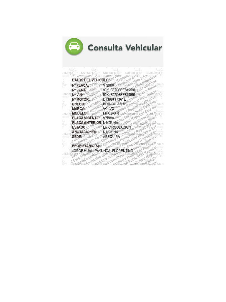 Consulta Vehicular | PDF