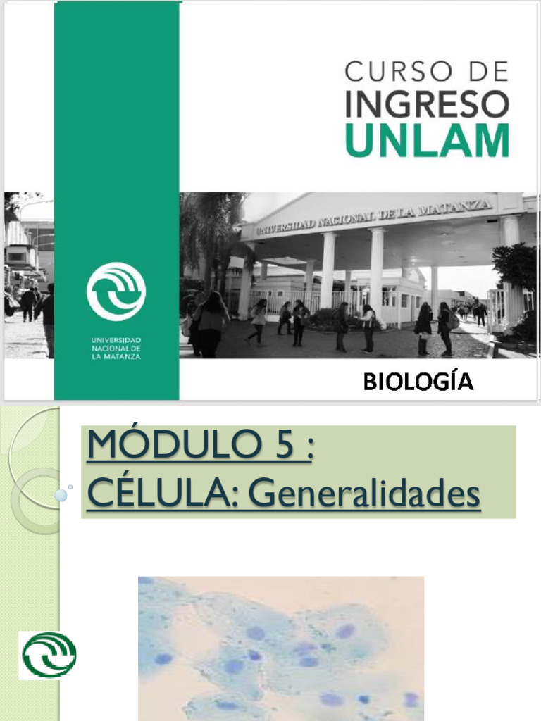 MODULO 5 CELULA Generalidades | PDF | Biología Celular) | Nucleo celular