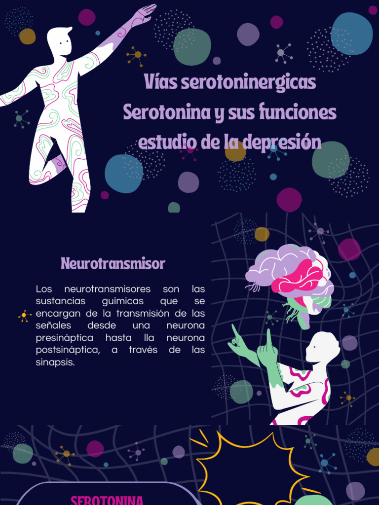 Serotonina: Funciones y Depresión | PDF | Serotonina | Sinapsis