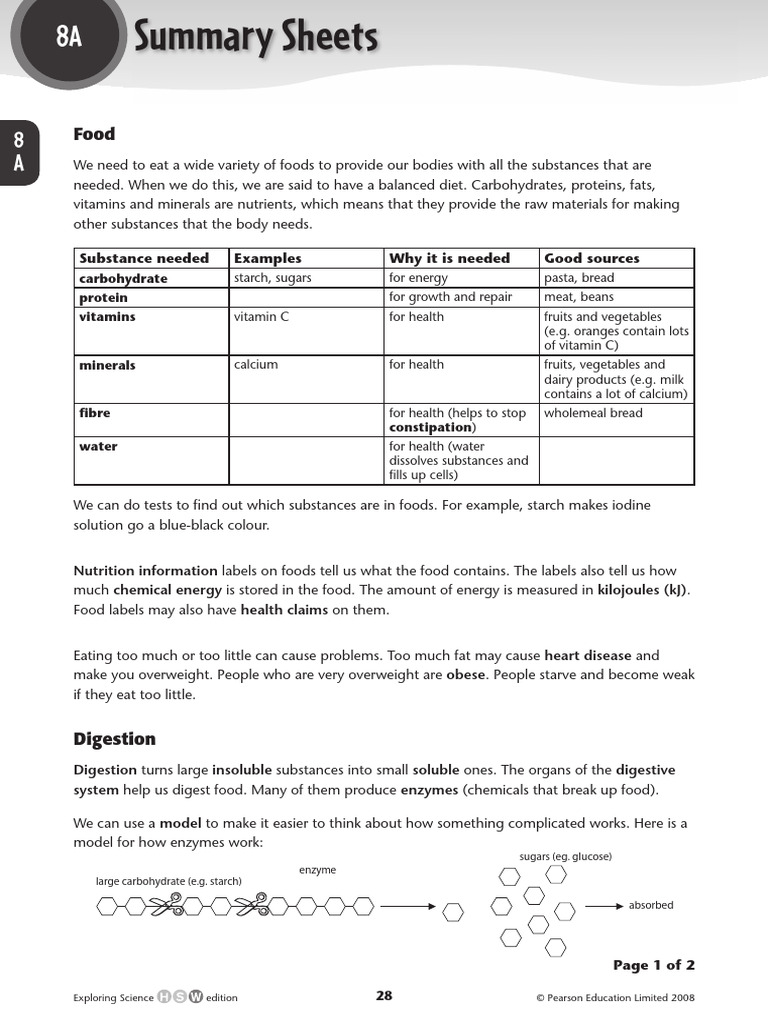 Y8 Summary For Eoy Exam | PDF | Digestion | Chemical Compounds