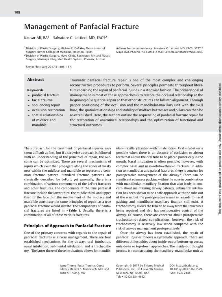 Pan Facial | PDF | Skull | Human Nose