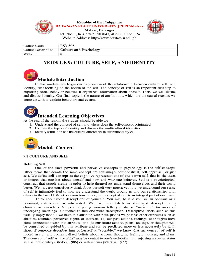 MODULE 9 - Culture, Self, and Identity | PDF | Self Concept | Identity ...
