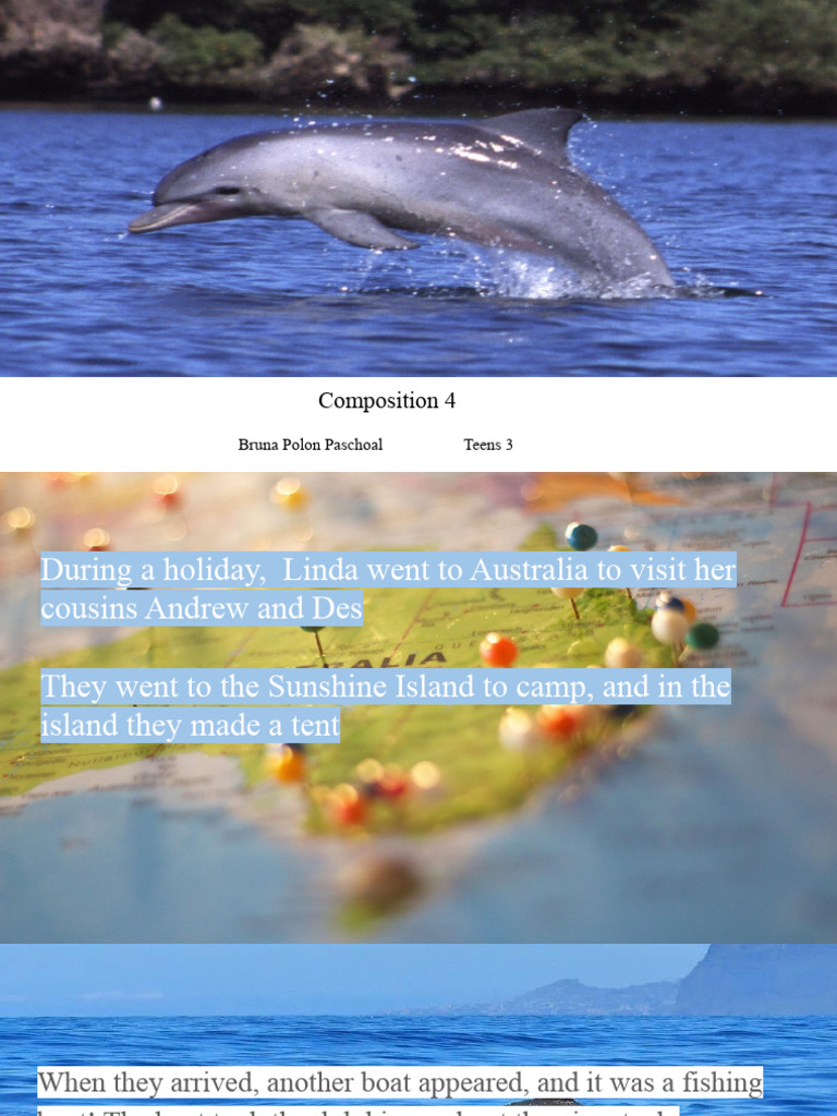 Free The Dolphins | PDF