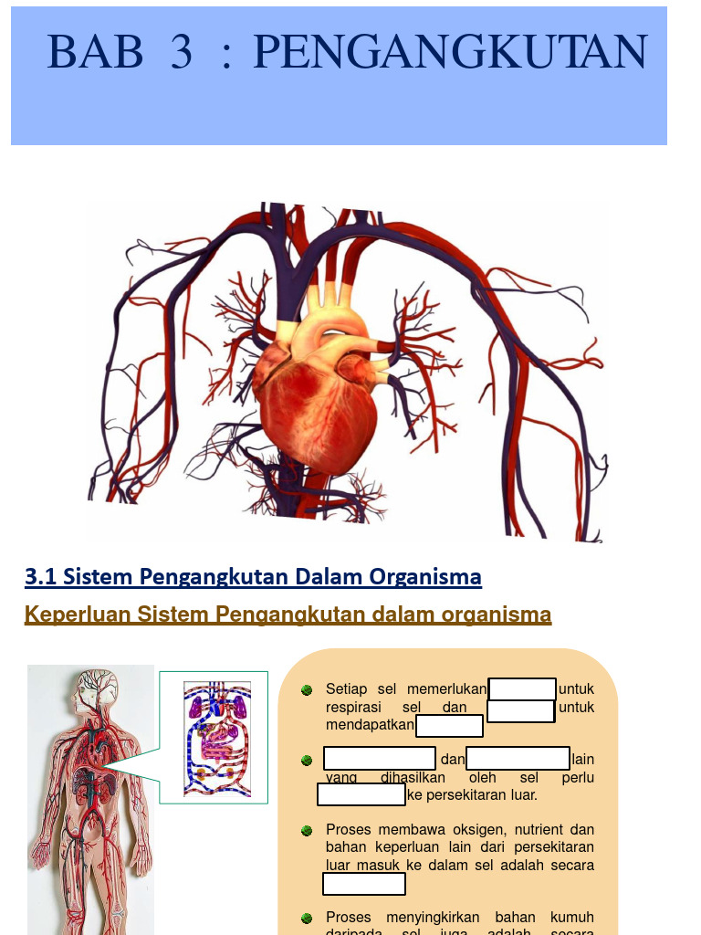 Nota Bab 3 Pengangkutan KSSM F3 2019 | PDF