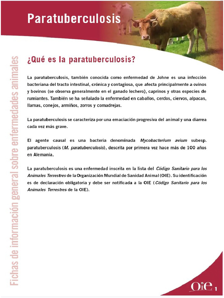 Explotación Ganadera | PDF